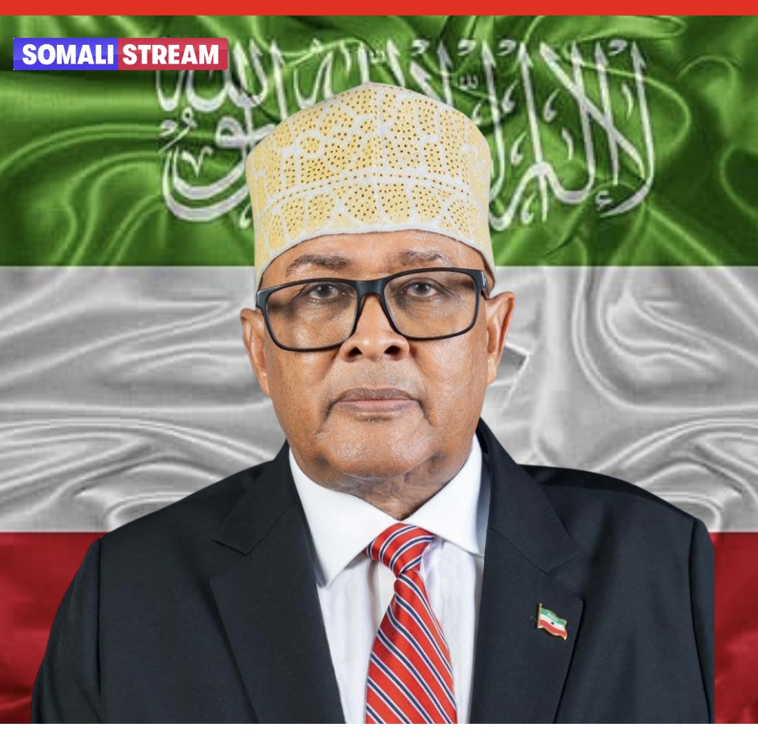 One Year in Power: Who Is Abdirahman Mohamed Abdullahi (Irro), the ...